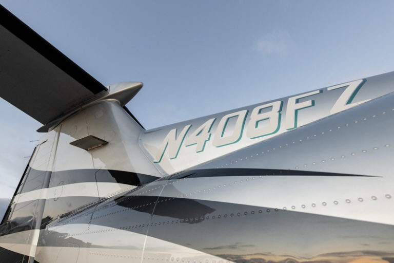 Our Company - Flying Zebra