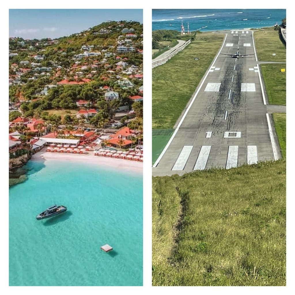 Fly With Us - Flying Zebra