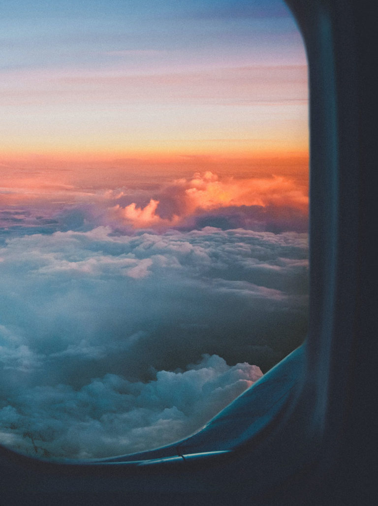 Our Services - Flying Zebra